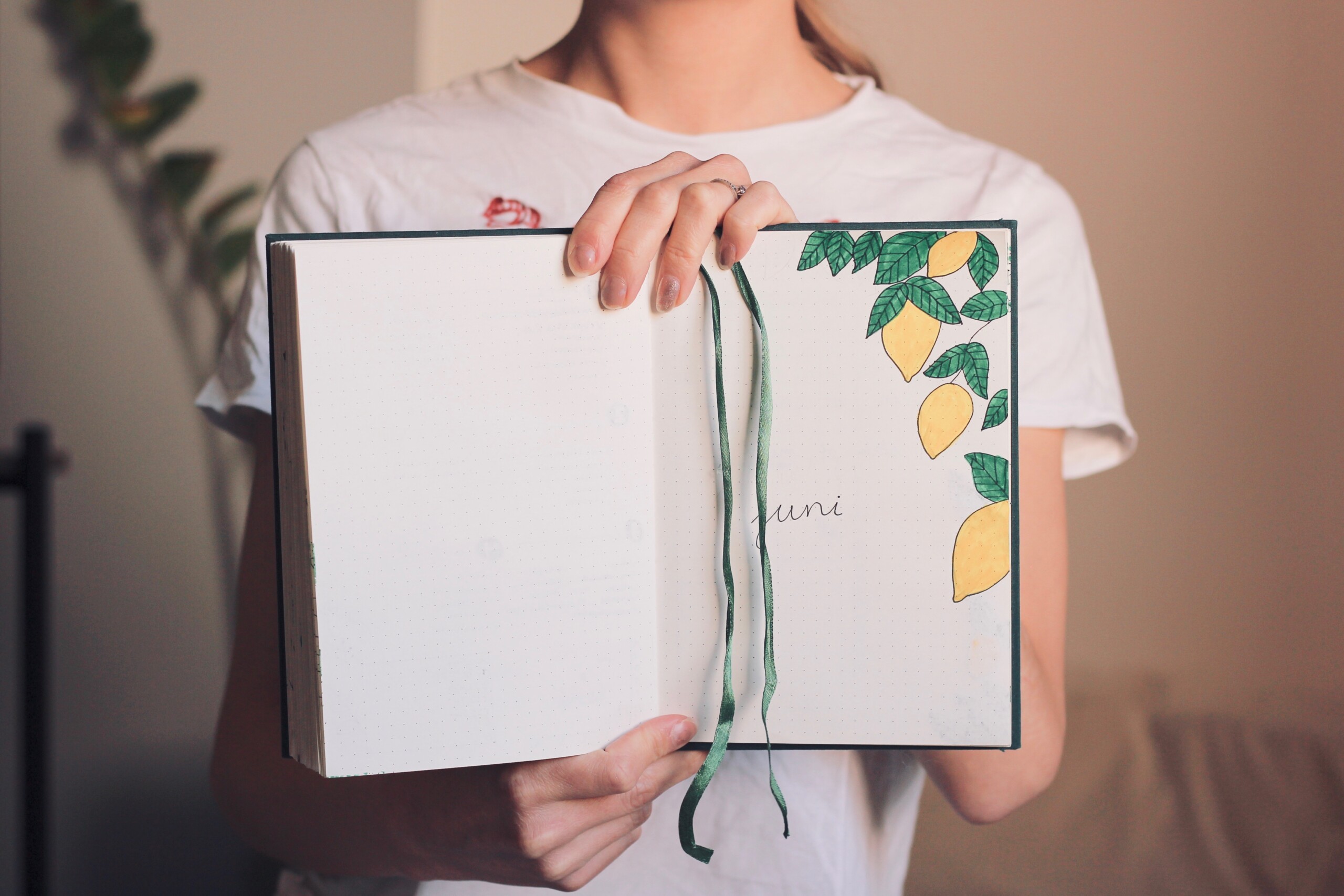 BULLET JOURNAL JUNE | LEMONS